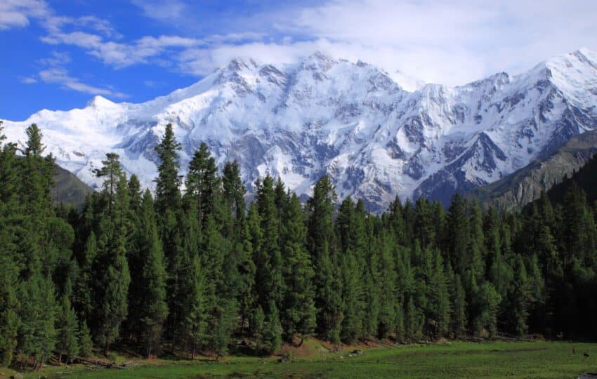 Fairy Meadows In Pakistan – Pakistan Tours