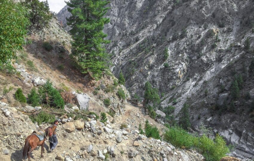 Fairy Meadows In Pakistan – Pakistan Tours